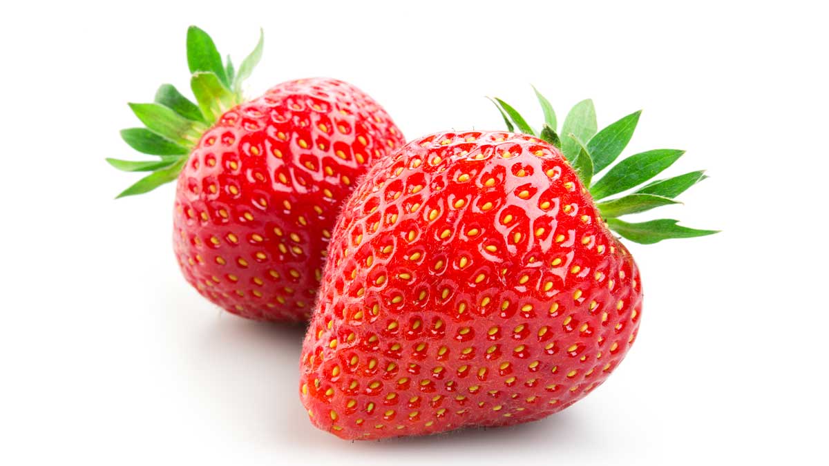 Plantas De Fresas Siempre Dulces Y Productivas